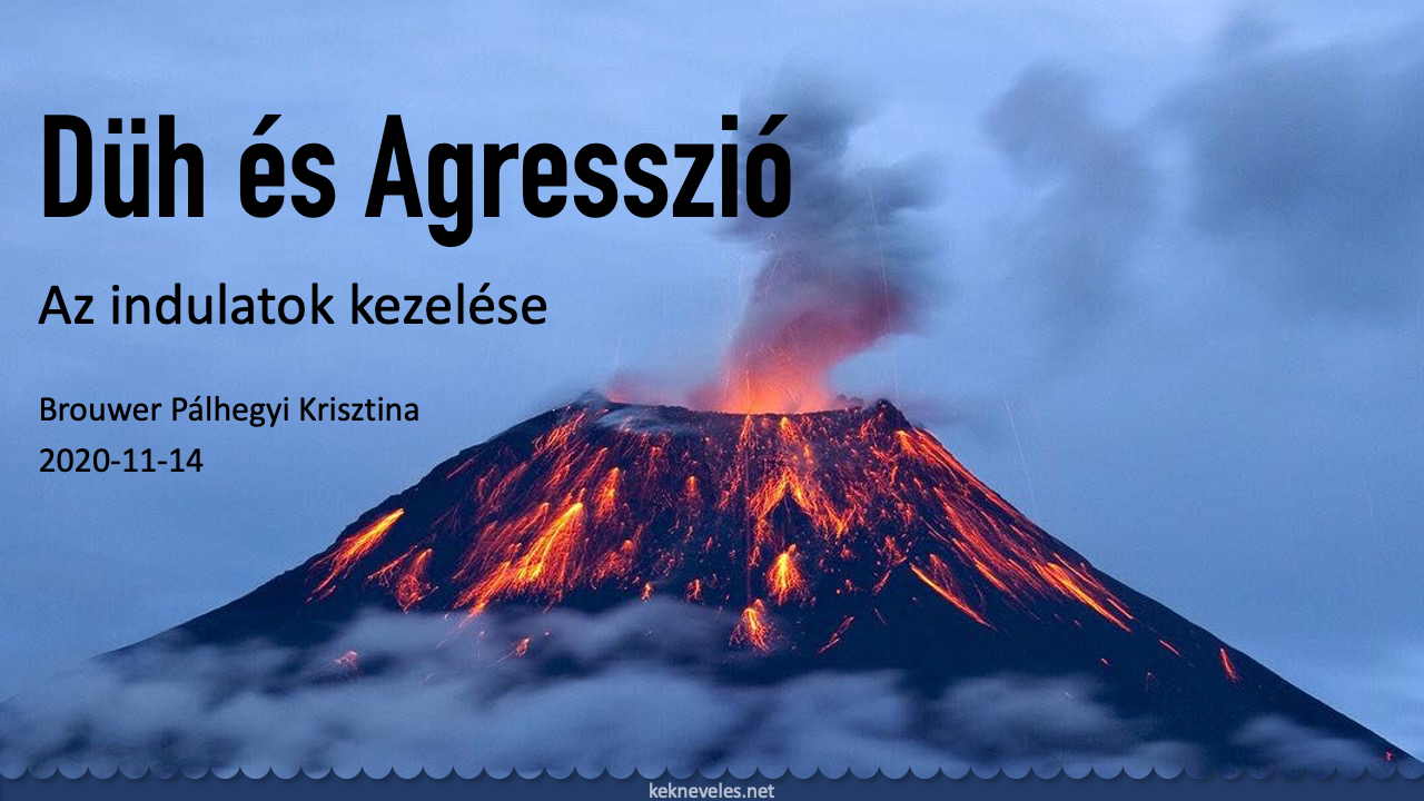 Videó: Düh és Agresszió – KÉK nevelés